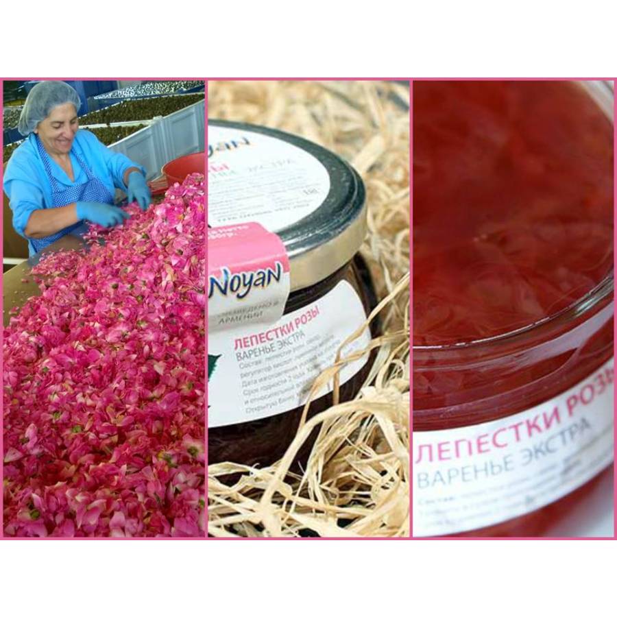 Rose petal Preserve - NOYAN - Comexposium and WSN product catalogs