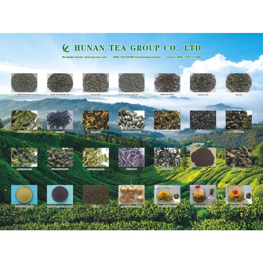 TEA - HUNAN TEA GROUP CO., LTD - Comexposium and WSN product catalogs